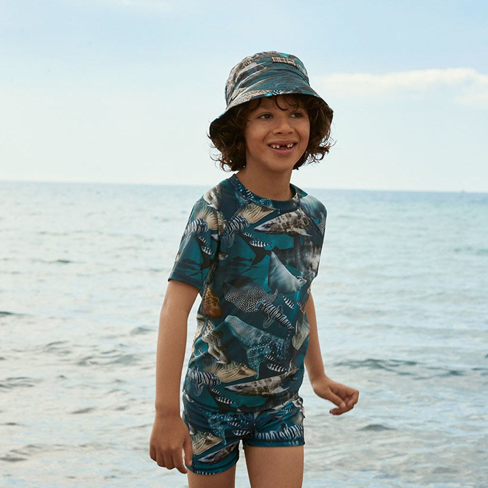 Neptune Amazing shark – Little Alien Kids
